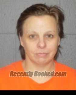 Recent Booking / Mugshot for JAMIE M BENHAM in Delaware County, New York