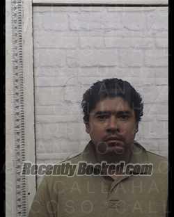 Recent Booking / Mugshot for JESUS ALONZO in Callahan County, Texas