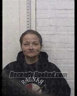 Recent Booking / Mugshot for BRANDI DAWN SEALS in Callahan County, Texas