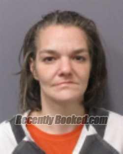 Recent Booking / Mugshot for RENEE CORTESE in Montgomery County, New York