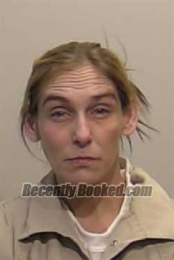 Recent Booking / Mugshot for Brandy Nichole Hawkins in Niagara County ...