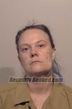 Recent Booking / Mugshot for Linda Ann Skutt in Niagara County, New York