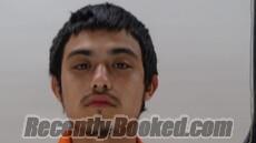 Recent Booking / Mugshot for MARK ANTHONY VILLARREAL in Cameron County ...