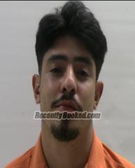 Recent Booking / Mugshot for ROBERT LUIS LOYA in Cameron County, Texas