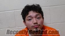 Recent Booking / Mugshot for FELIPE AVILA in Cameron County, Texas