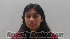 Recent Booking / Mugshot for CRYSTAL FAITH CASTANEDA in Cameron County ...
