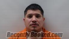Recent Booking / Mugshot for LUIS MENA in Cameron County, Texas