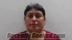 Recent Booking / Mugshot for AMAYA ESTEFANA YANELI in Cameron County, Texas