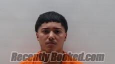 Recent Booking / Mugshot for TORRES ALEXIS in Cameron County, Texas