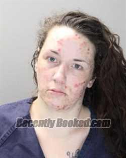 Recent Booking / Mugshot for RACHEL AMY HEFNER in Ontario County, New York