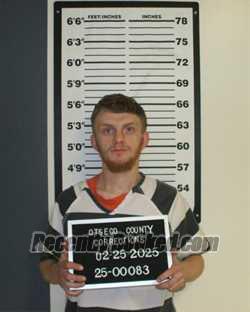 Recent Booking / Mugshot for TYLER STANLEY HOTALING in Otsego County ...
