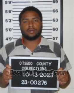 Recent Booking / Mugshot for ALPHONSO D'SHAWN LINEN-HOLMES in Otsego ...