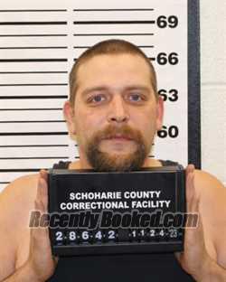 Recent Booking / Mugshot for ANTHONY C BILLETDOUX in Schoharie County ...