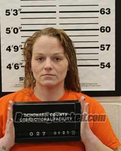 JESSICA M BENSON Arrest Record & Booking Info – Schoharie County, New ...