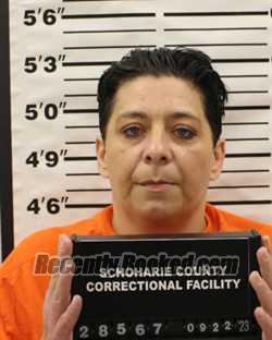 Recent Booking / Mugshot for JAMIE LYNN CATER in Schoharie County, New York