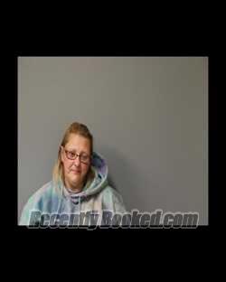 Recent Booking / Mugshot for BARBARA E ROBERTSON in Schuyler County ...