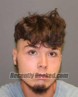 Recent Booking / Mugshot for RYAN CHRISTOPHER GRANT in Seneca County ...