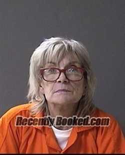 Recent Booking / Mugshot for Denise D Barnes-Lehtonen in Ulster County ...