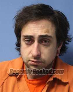 Recent Booking / Mugshot for AUSTIN L HOGAN in Wayne County, New York
