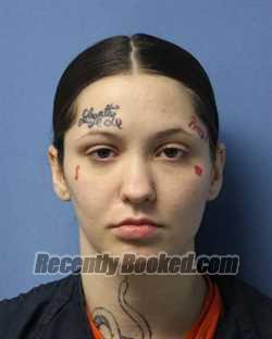 Recent Booking / Mugshot for PATIENCE L LAROCK in Wayne County, New York