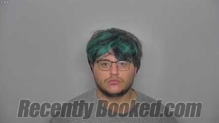 Recent Booking / Mugshot for ADAM RAY GEFFRE in Burleigh County, North ...