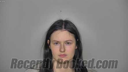 Recent Booking / Mugshot for ALLISON ELIZABETH WILKINS in Burleigh ...
