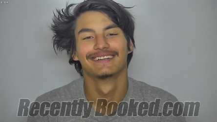 Recent Booking / Mugshot for AYDEN ALBERT WILKIE in Burleigh County ...