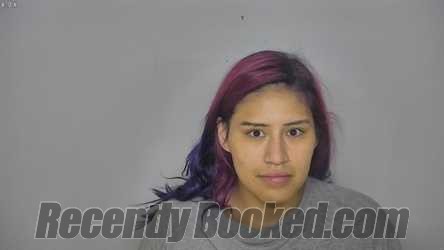 Recent Booking / Mugshot for ANGELICA ANN WOLF in Burleigh County ...