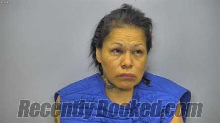 Recent Booking / Mugshot for CYNTHIA TIFFANY GIL in Burleigh County ...