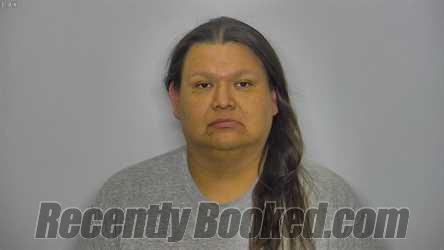 Recent Booking / Mugshot for DAVID JOSEPH JACKSON in Burleigh County ...