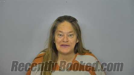 Recent Booking / Mugshot for ERIN MARGARET OLSON in Burleigh County ...