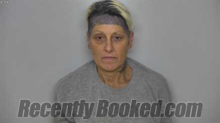 Recent Booking / Mugshot for ELIZABETH STEPHANIE ROUBIDEAUX in Burleigh ...