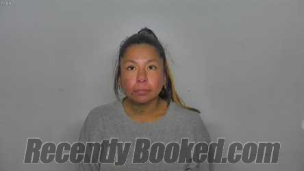 Recent Booking / Mugshot for HOLLY DERAE LONGCHASE in Burleigh County ...