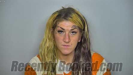 Recent Booking / Mugshot for JESSICA ANN BROOM in Burleigh County ...