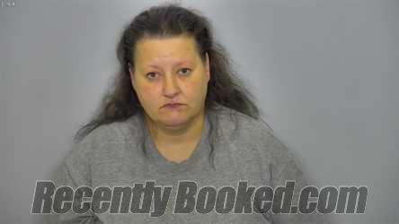 Recent Booking / Mugshot for JANET MARIE BOLES in Burleigh County ...