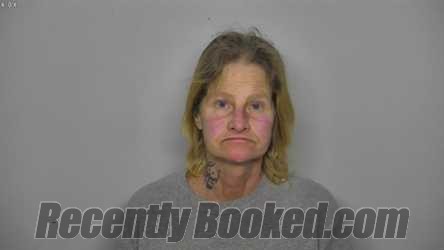 Recent Booking / Mugshot for JULIE ANN FANNIN in Burleigh County, North ...