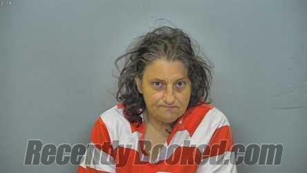 Recent Booking / Mugshot for JENNIFER REBECCA HATZENBUHLER in Burleigh ...