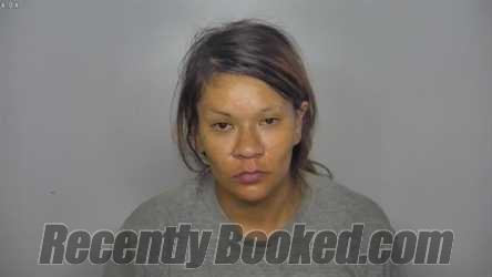 Recent Booking / Mugshot for LARISSA LYNN BISSONETTE in Burleigh County ...