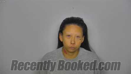 Recent Booking / Mugshot for LISA STEPHANIE BROWN in Burleigh County ...