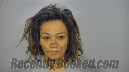 Recent Booking / Mugshot for LISA ELENA LANDIN in Burleigh County ...