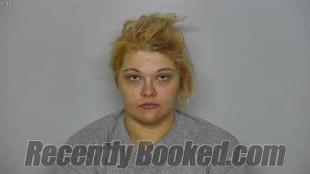 Recent Booking / Mugshot for MARISSA RAEANN LARSON in Burleigh County ...