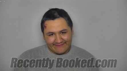 Recent Booking / Mugshot for RONNIE RAMONE DURAN in Burleigh County ...