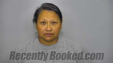Recent Booking / Mugshot for RAYLENE ANN ELK in Burleigh County, North ...