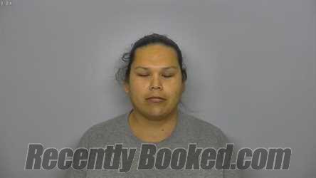 Recent Booking / Mugshot for SKYLER BEAU WHITEBULL in Burleigh County ...
