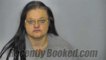 Recent Booking / Mugshot for TRISH LYNN MESSNER in Burleigh County ...