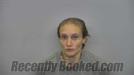 Recent Booking / Mugshot for VICTORIA PAGE LEE in Burleigh County ...