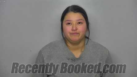 Recent Booking / Mugshot for YUKONNA GAYLE HENRY in Burleigh County ...