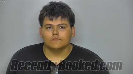 Recent Booking / Mugshot for ZACHARY JOE HAHN in Burleigh County, North ...