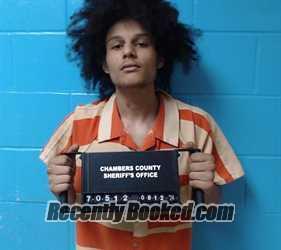 Recent Booking / Mugshot for TRANDON JONSON TROUSDALE in Chambers ...