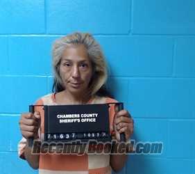 Recent Booking / Mugshot for APRIL LOUIS DOMINGUEZ in Chambers County ...